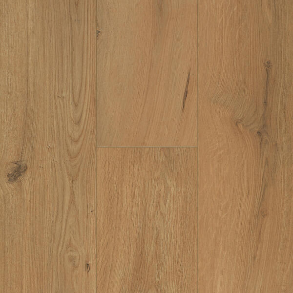 Ocean 12 V4 Gyant Warm Natural - Shal.mn